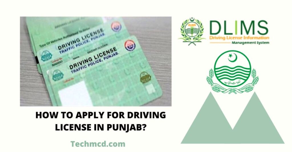 DLIMS Punjab: How to Online Verify Driving License In Pakistan